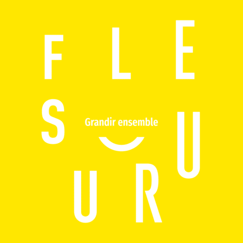 Fleurus — Synthèse