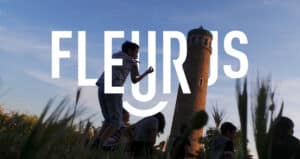 Fleurus — Synthèse