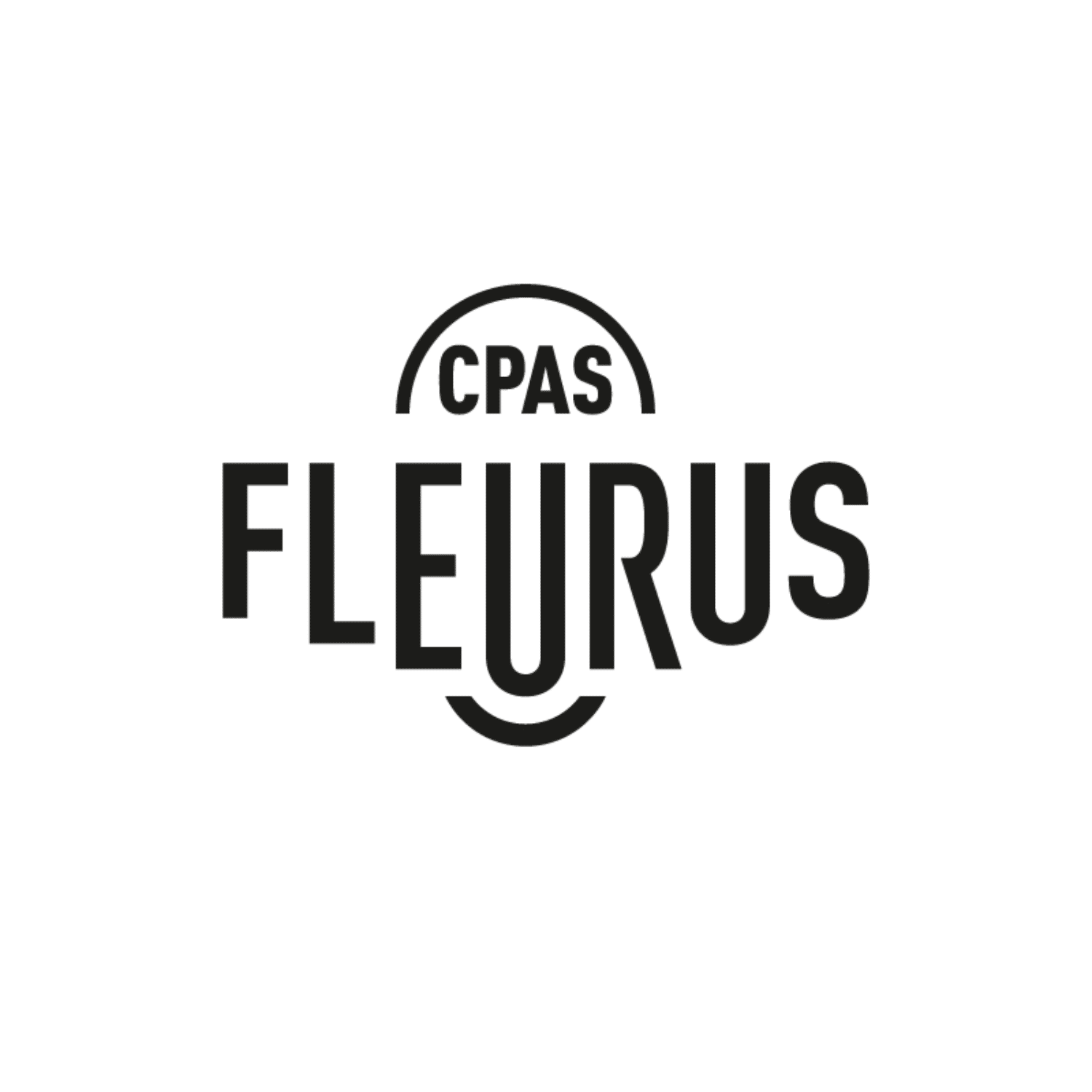 Fleurus — Synthèse